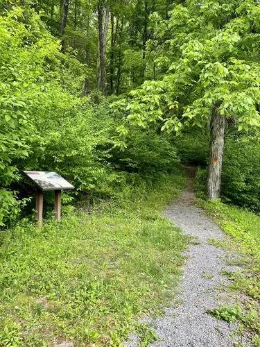 Best Hikes and Trails in Hyner Run State Park | AllTrails