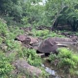 Coon Ridge Trail, Oklahoma - 346 Reviews, Map | AllTrails