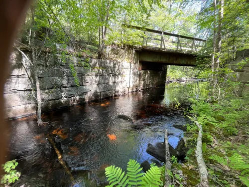 Best Walking Trails in Fitzwilliam | AllTrails