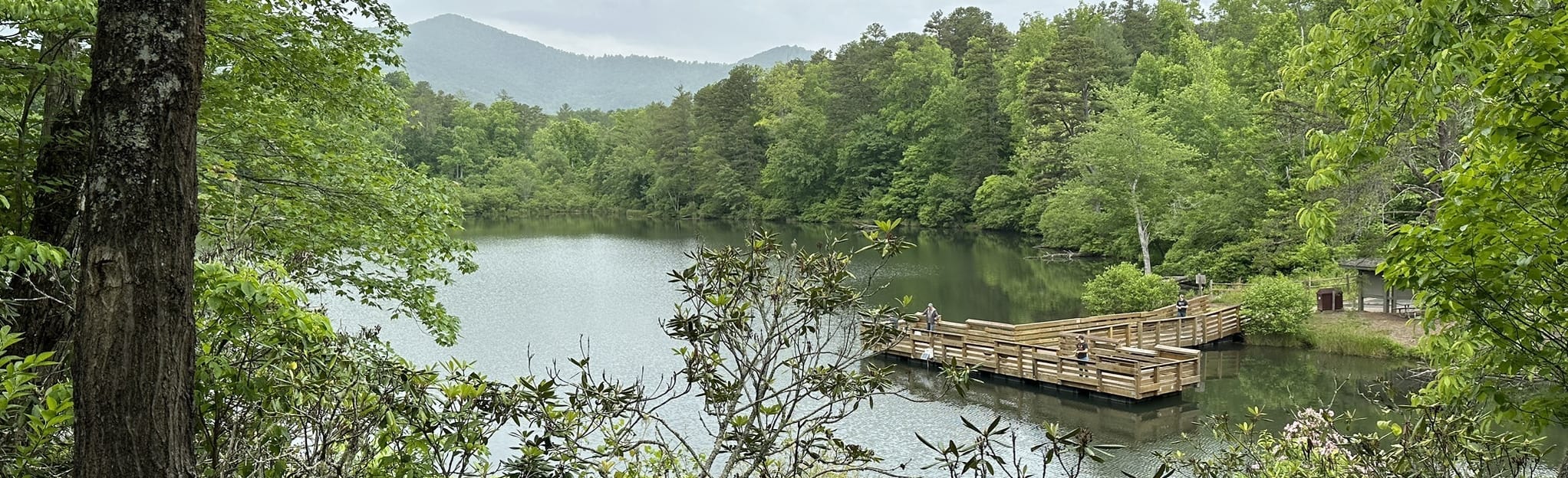 Hard Times to Shut-In to Pine Tree Loop: 1.742 foto - Carolina del Nord ...