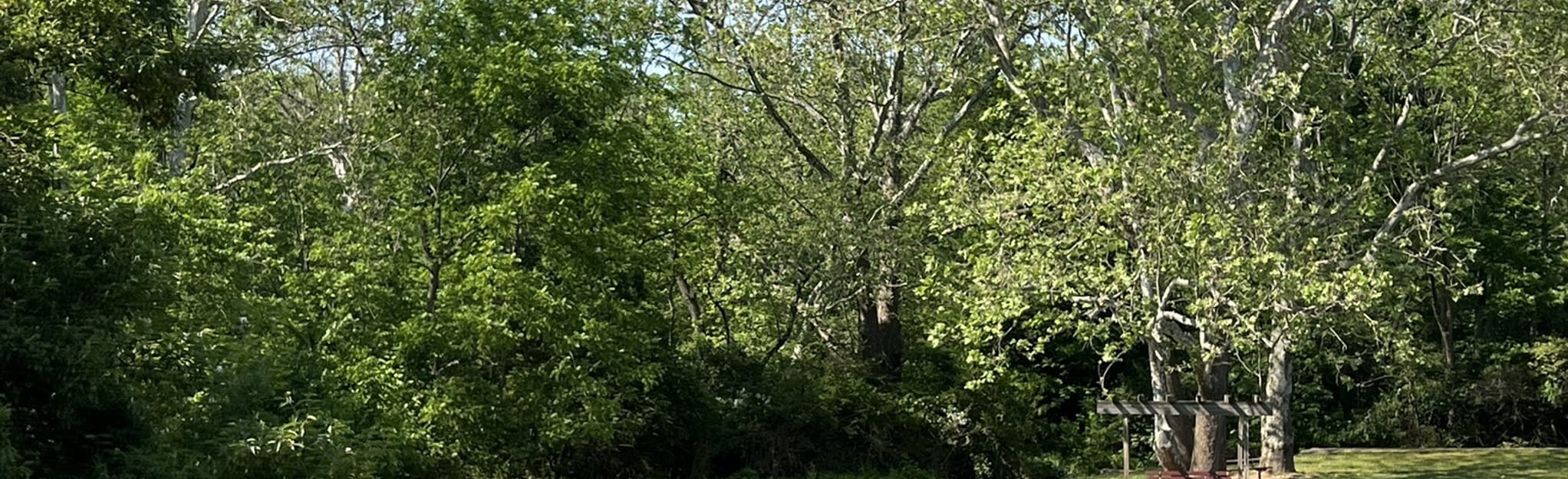 Banbury-Mopac Trail: 86 Reviews, Map - Pennsylvania | AllTrails