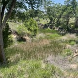 Lubbock Lake National Historic Landmark Loop, Texas - 172 Reviews, Map ...