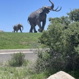 Lubbock Lake National Historic Landmark Loop, Texas - 172 Reviews, Map ...