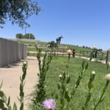 Lubbock Lake National Historic Landmark Loop, Texas - 172 Reviews, Map ...