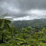 Pico Rodadero Trail: 137 fotos - South Region, Puerto Rico | AllTrails