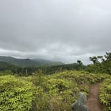 Pico Rodadero Trail: 137 fotos - South Region, Puerto Rico | AllTrails
