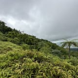 Pico Rodadero Trail: 137 fotos - South Region, Puerto Rico | AllTrails