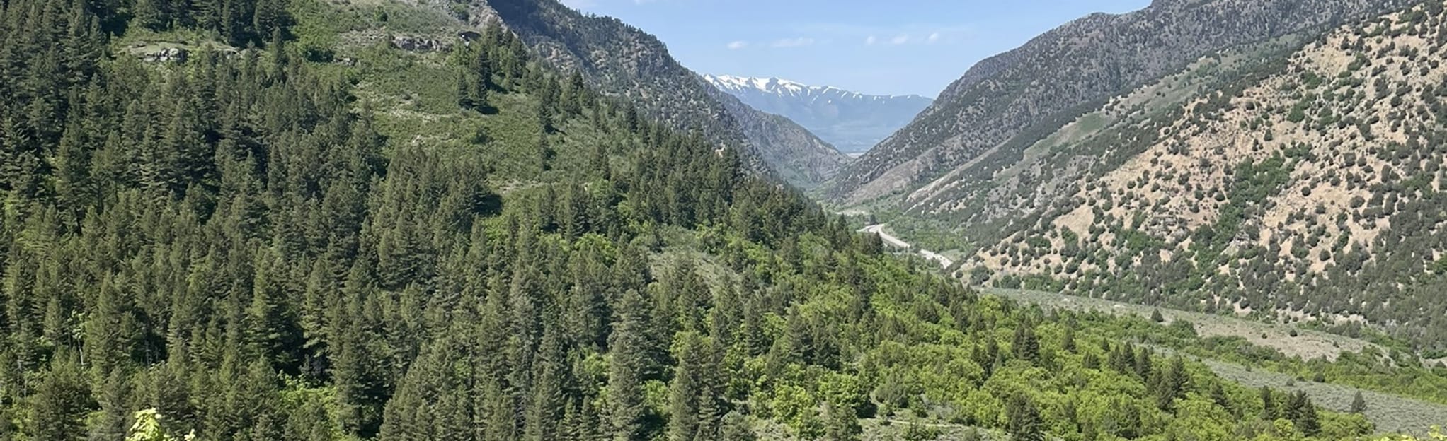 Crimson Trail, Utah - 1,119 Reviews, Map | AllTrails