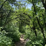 Burch Creek Trail, Utah - 777 Reviews, Map | AllTrails