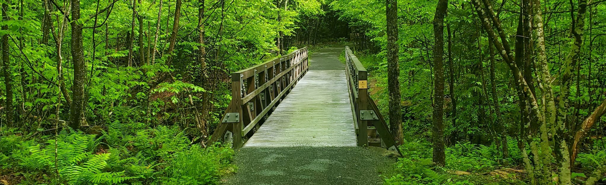 Limberlost Trail, Virginia - 749 Reviews, Map | AllTrails