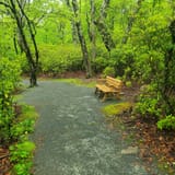 Limberlost Trail, Virginia - 750 Reviews, Map | AllTrails