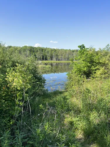 2023 Best Easy Trails in Lime Hollow Nature Center | AllTrails