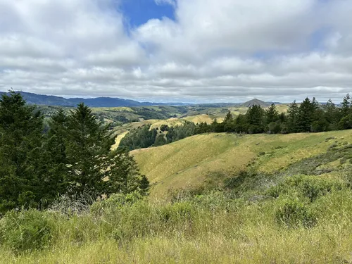 10 Best Hikes and Trails in Samuel P. Taylor State Park | AllTrails