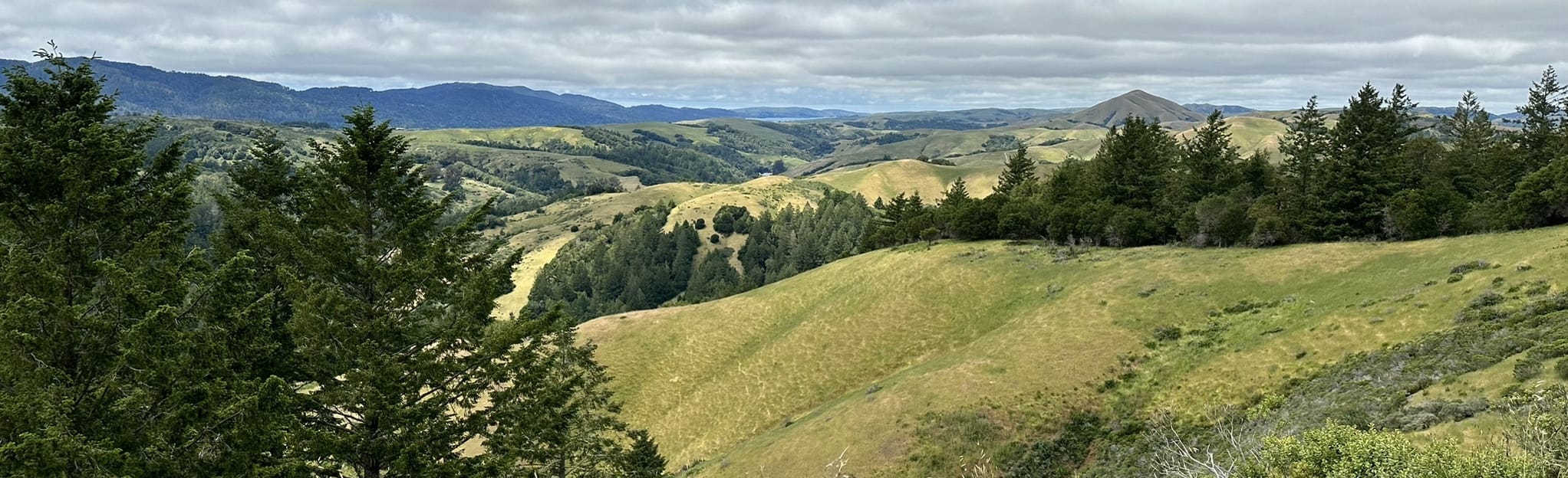 Bill's Trail to Mount Barnabe Peak Loop, California - 442 Reviews, Map ...