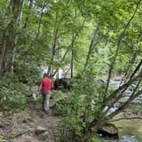 Compression Falls Trail, North Carolina - 338 Reviews, Map | AllTrails