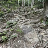 Compression Falls Trail, North Carolina - 338 Reviews, Map | AllTrails