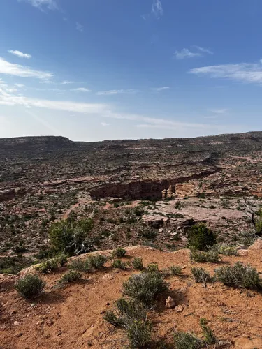 10 Best Hikes and Trails in Sand Flats Recreation Area | AllTrails