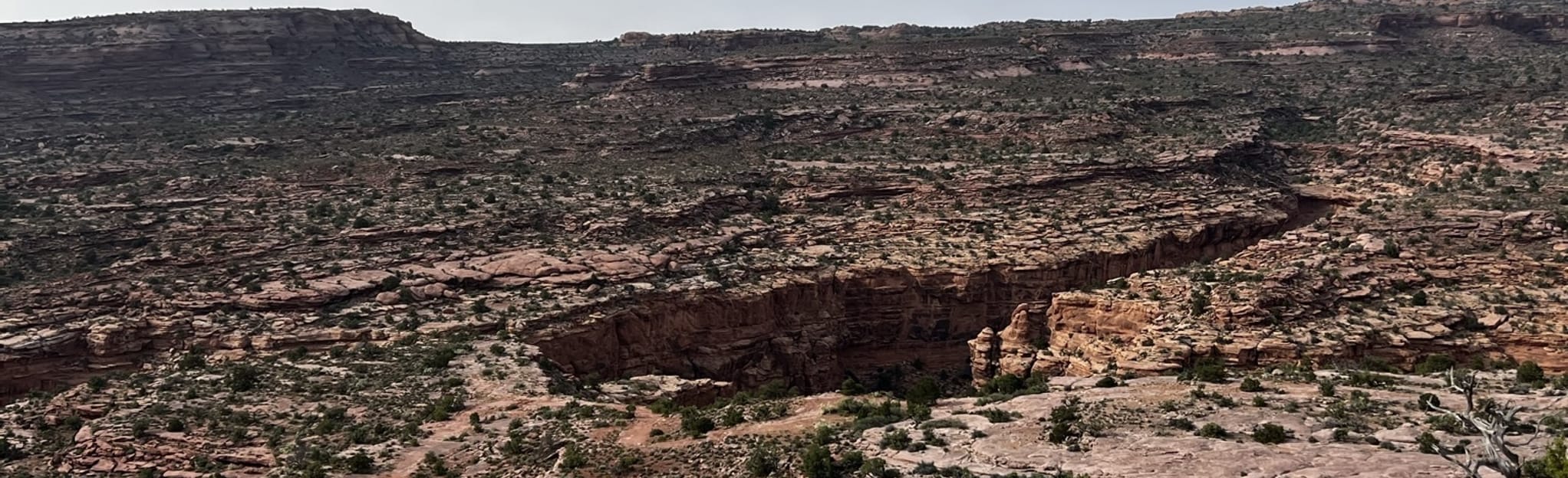 Raptor Route, Utah - 11 Reviews, Map | AllTrails