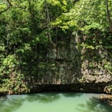 Round Spring Trail, Missouri - 96 Reviews, Map | AllTrails