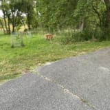Kinder Farm Park Trail, Maryland - 1,256 Reviews, Map | AllTrails