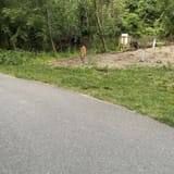 Kinder Farm Park Trail, Maryland - 1,256 Reviews, Map | AllTrails