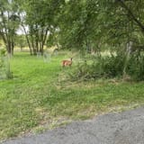Kinder Farm Park Trail, Maryland - 1,256 Reviews, Map | AllTrails