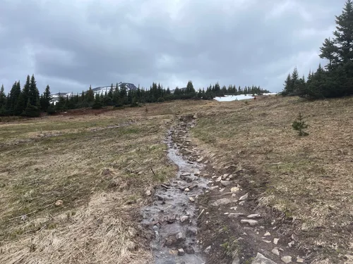 10 Best Trails and Hikes in Smithers | AllTrails