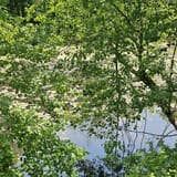 Maybrook Trailway, New York - 291 Reviews, Map | AllTrails