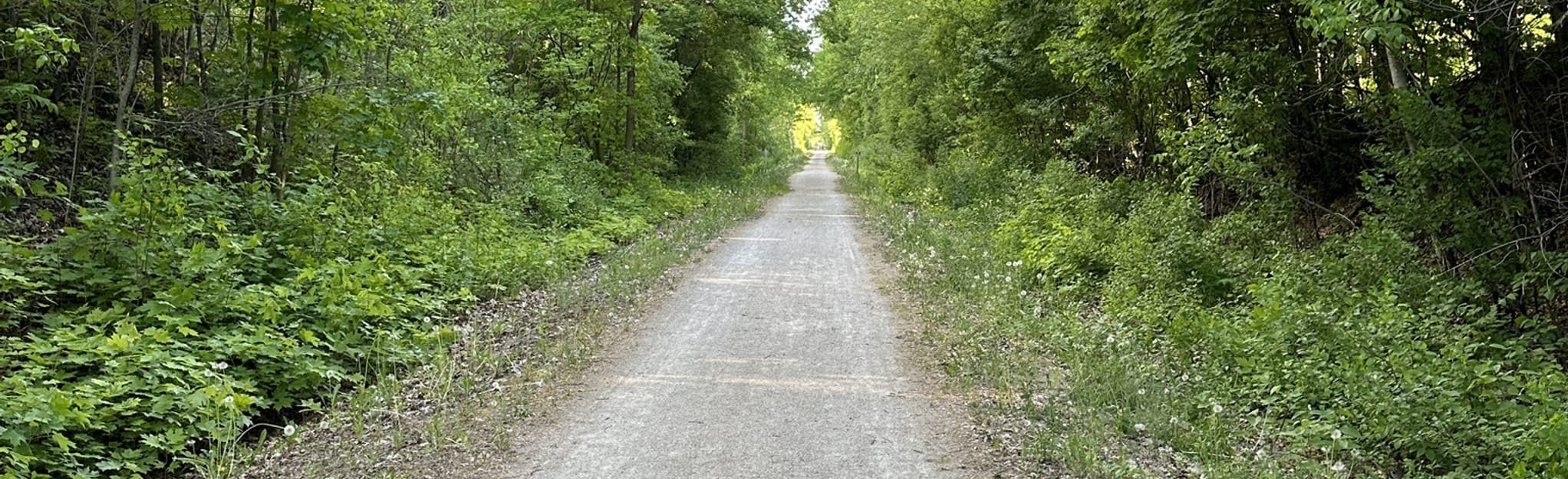 Devil's River State Trail: 22 Reviews, Map - Wisconsin | AllTrails