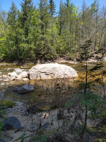 Best Hikes and Trails in Albany Town Forest | AllTrails