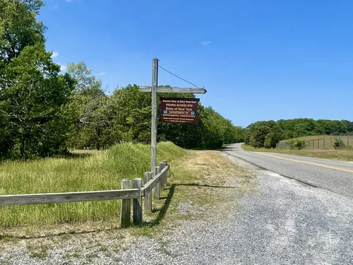 Best Hikes and Trails in Otis Pike Preserve | AllTrails