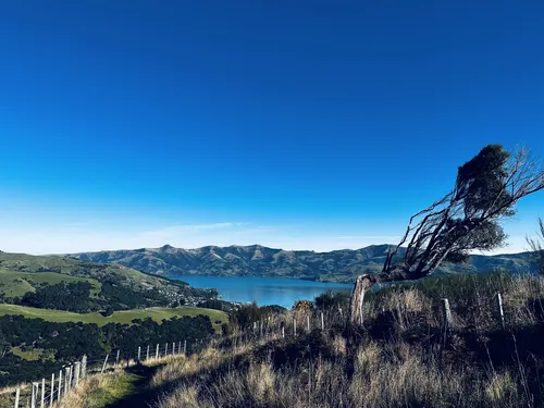 Best Hikes and Trails in Akaroa Heritage Park | AllTrails
