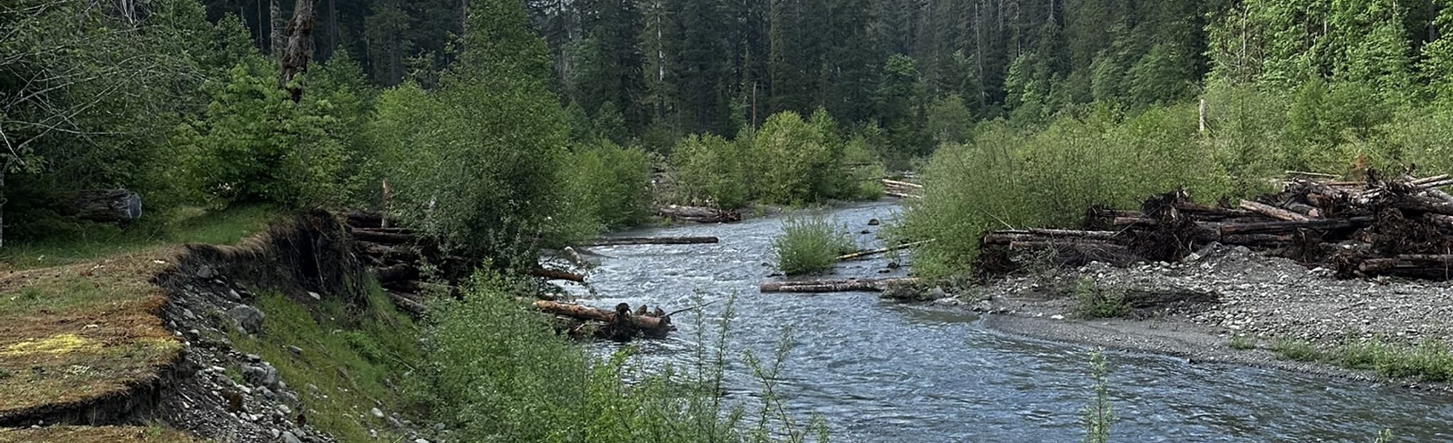 Lower South Fork Skokomish River Loop: 14 Fotos - Washington | AllTrails