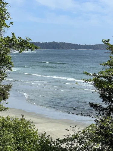 10 Best Walking Trails in Pacific Rim National Park Reserve | AllTrails