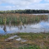 Devilbend Reservoir Loop, Victoria, Australia - 340 Reviews, Map ...