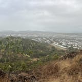 Mt Louisa Walking Track, Queensland, Australia - 231 Reviews, Map ...