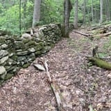 The Boogerman Trail, North Carolina - 443 Reviews, Map | AllTrails