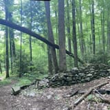 The Boogerman Trail, North Carolina - 443 Reviews, Map | AllTrails