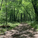 The Boogerman Trail, North Carolina - 443 Reviews, Map | AllTrails