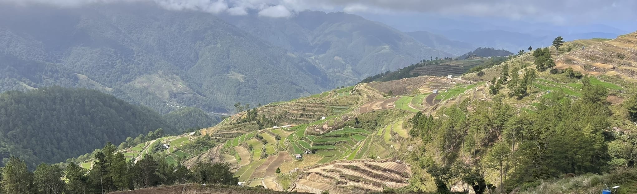 Mount Pulag, Benguet, Philippines - 20 Reviews, Map | AllTrails