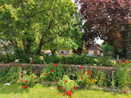 Best Hikes and Trails in Pages Wood | AllTrails