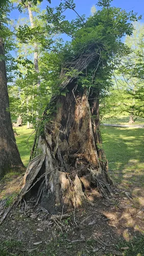 Best Walking Trails in Perry | AllTrails