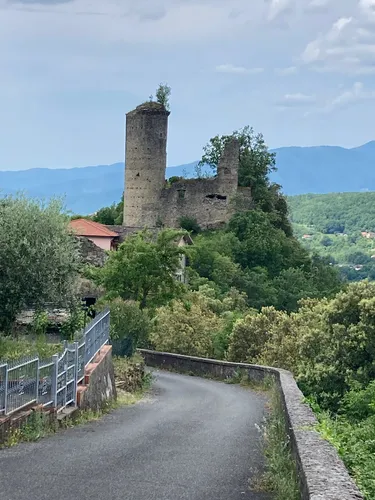 Best Forest Trails in Filattiera | AllTrails