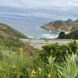 Gray Whale Cove Trail, California - 951 Reviews, Map | AllTrails
