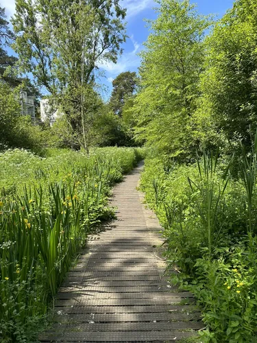 10 Best Walking Trails in Bournemouth | AllTrails