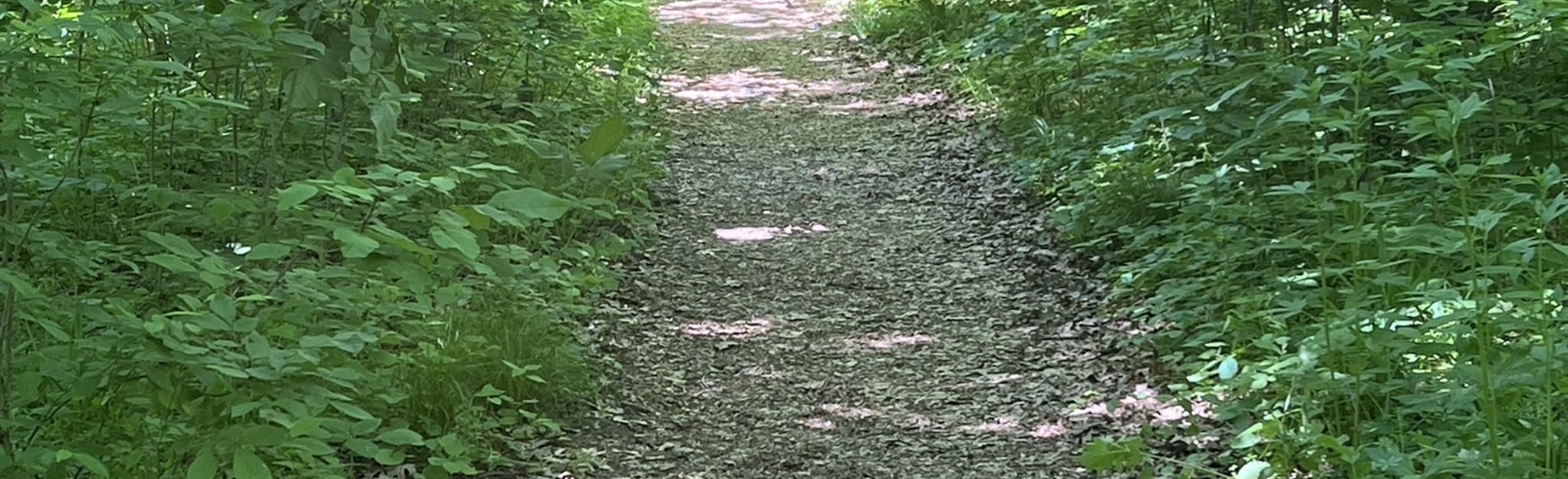 AllTrails | Pokagon State Park Nature Center and Apple Orchard Loop ...