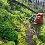 Wyeth Trail, Oregon - 42 Reviews, Map | AllTrails