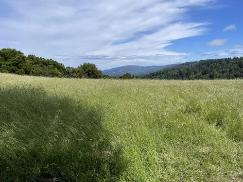 10 Best Hikes and Trails in Wunderlich County Park | AllTrails