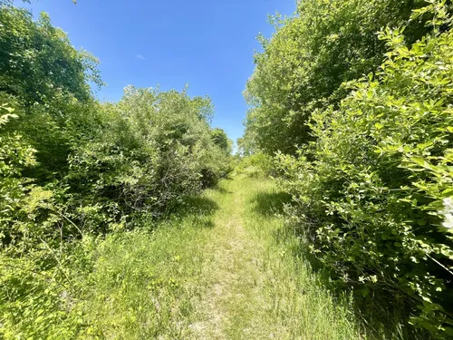 Best Hikes and Trails in Otis Pike Preserve | AllTrails