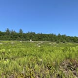 Quabbin Reservoir Gates 11-12 Loop Trail, Massachusetts - 203 Reviews ...